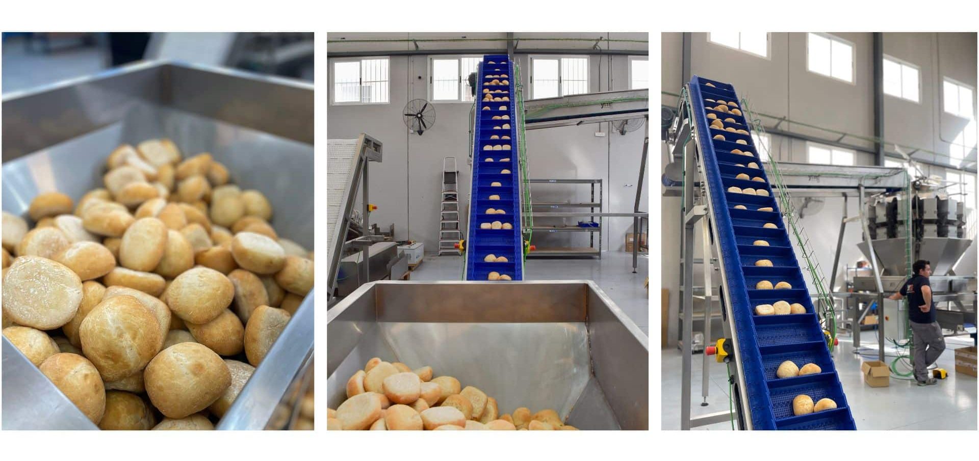DISCOVERING THE WORLD OF PACKAGING LINES: TYPES AND OPERATION - YM ...